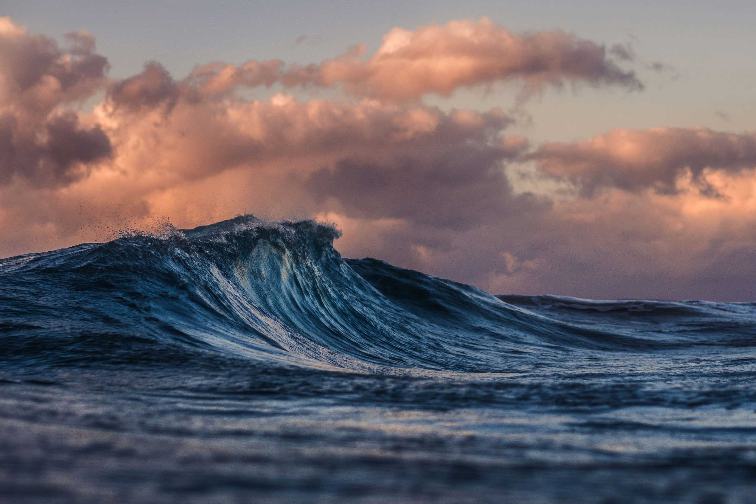 Seaturns project - OWC